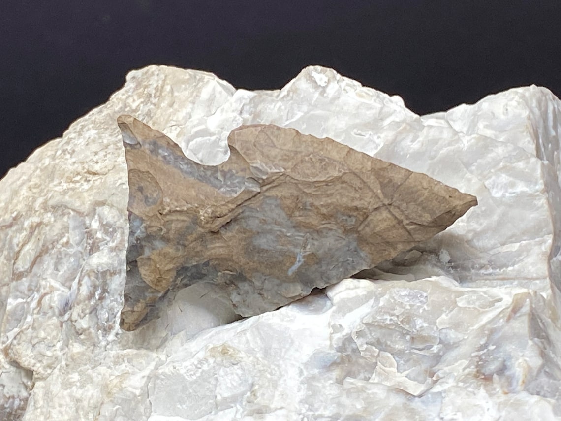 Desert Delta Side Notch Arrowhead Projectile Point - Ancient Native ...