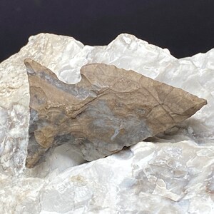 Desert Delta Side Notch Arrowhead Projectile Point - Ancient Native ...
