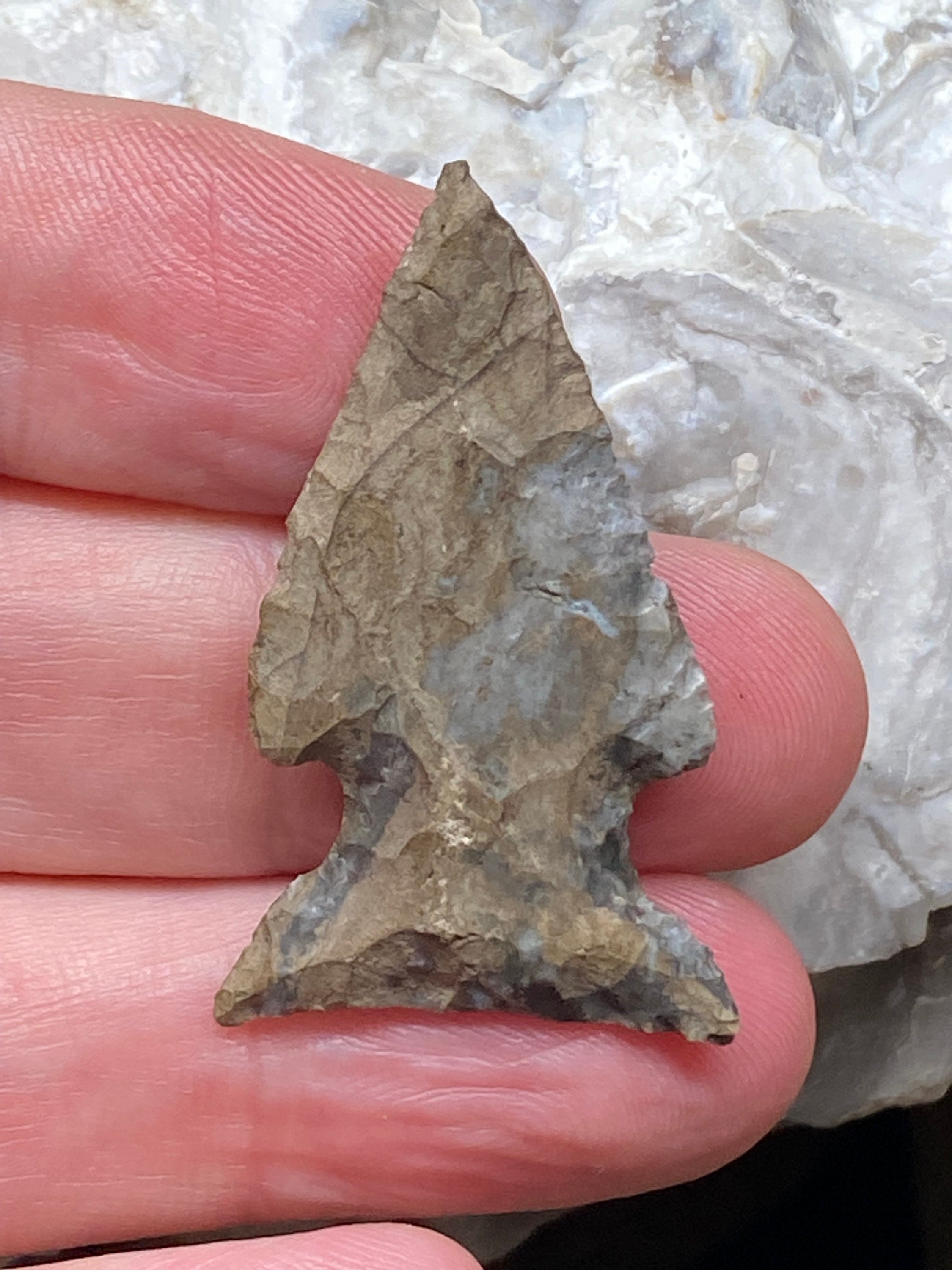 Desert Delta Side Notch Arrowhead Projectile Point - Ancient Native ...