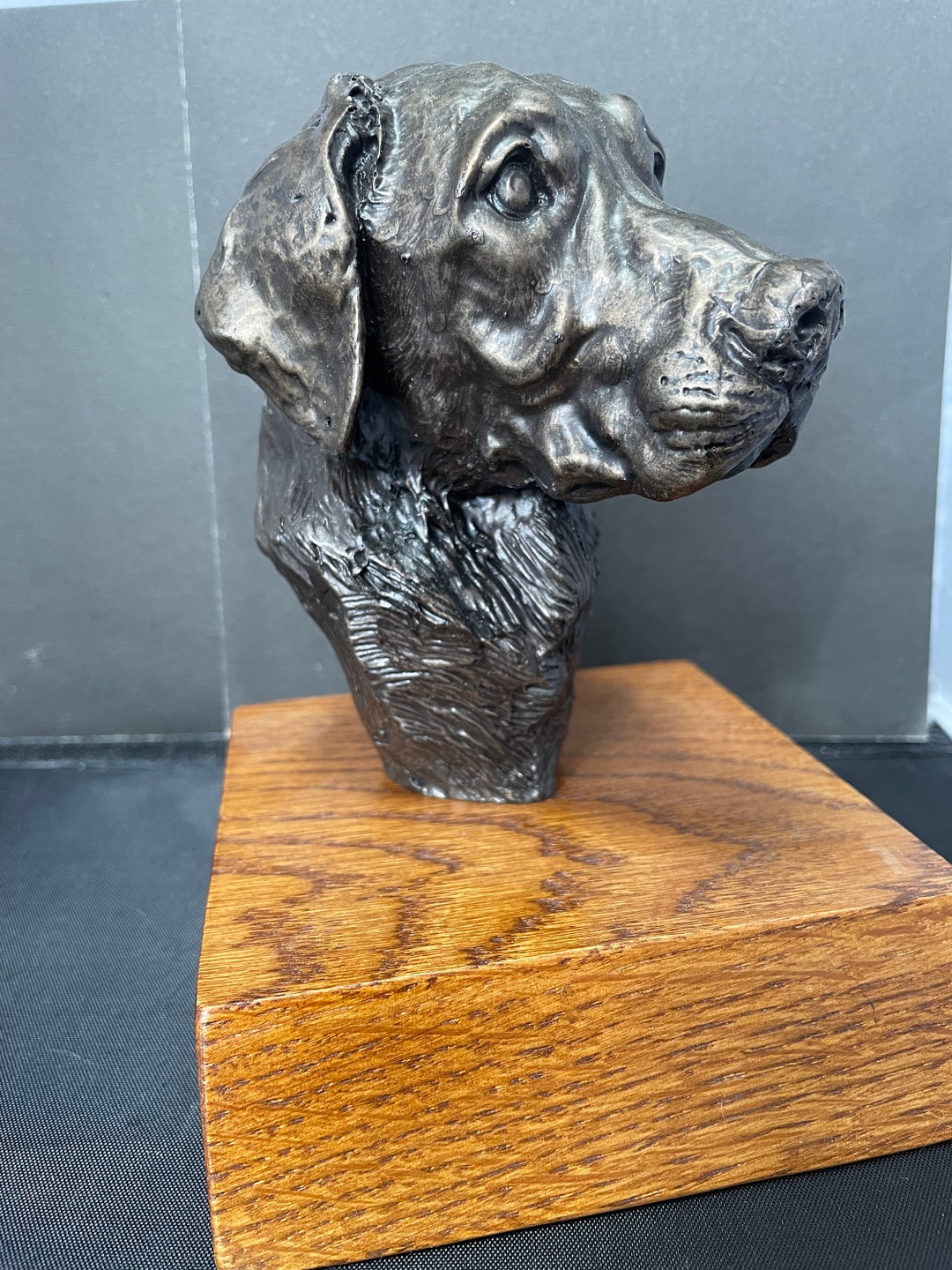 Elderley Labrador Bronze Cold Cast Mounted on Wood Base Approx Size Inc ...