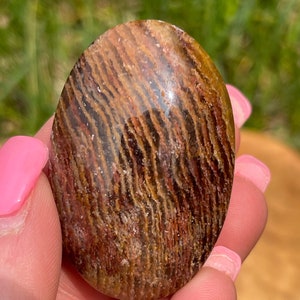 Thousand Layer Quartz Lodolite Crystal Palm Stone I Garden - Etsy