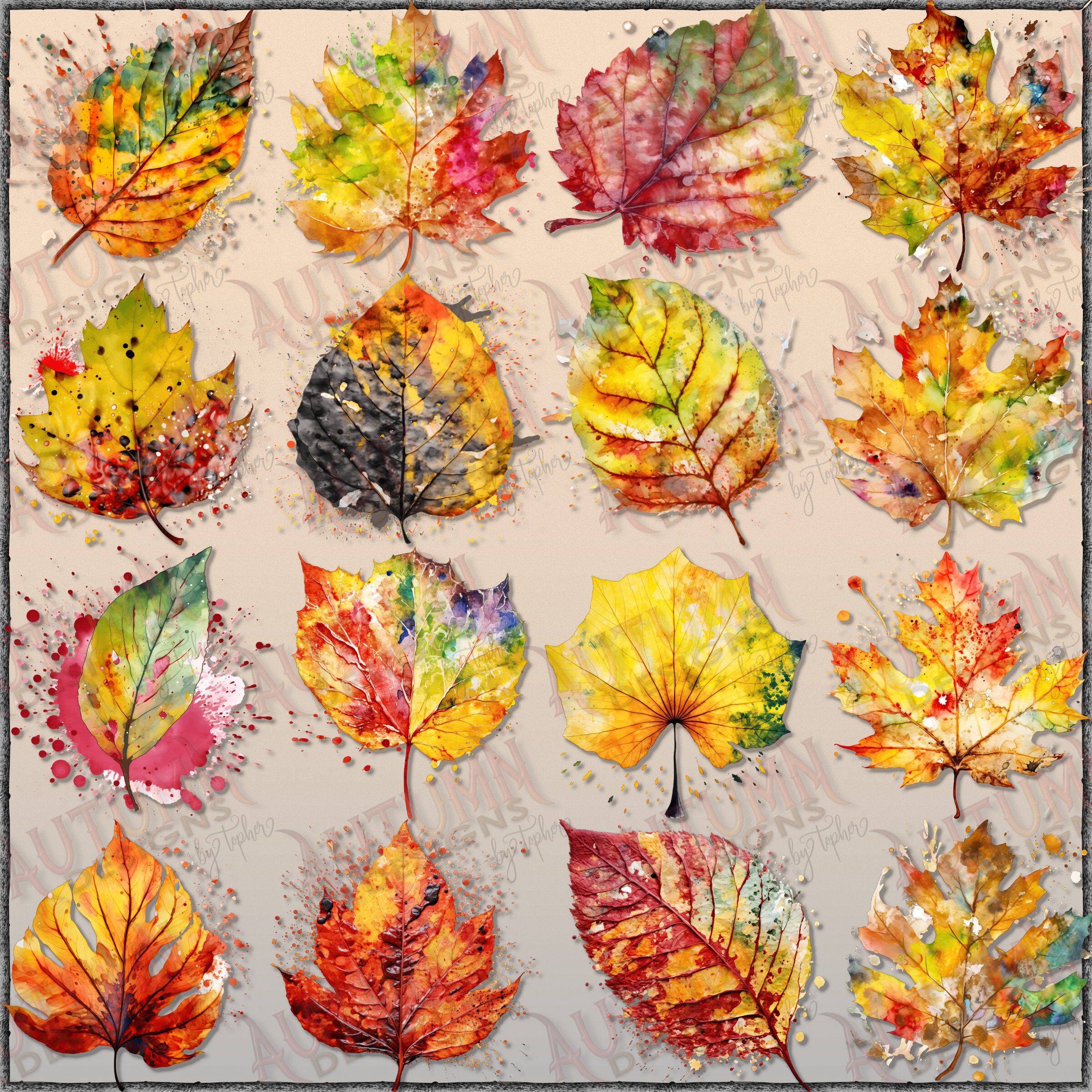 Autumn Leaves Watercolor Clipart, Digital Fall Leaf Collection ...