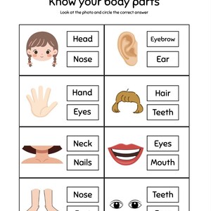 Know Your Body Parts Worksheet for Kids – Human Body Activity Pages ...