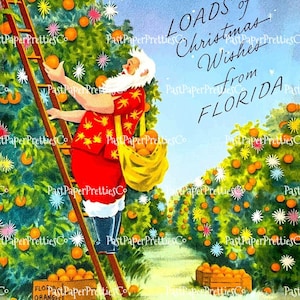 Vintage Printable Florida Christmas Card Images Tropical Holiday Santa ...