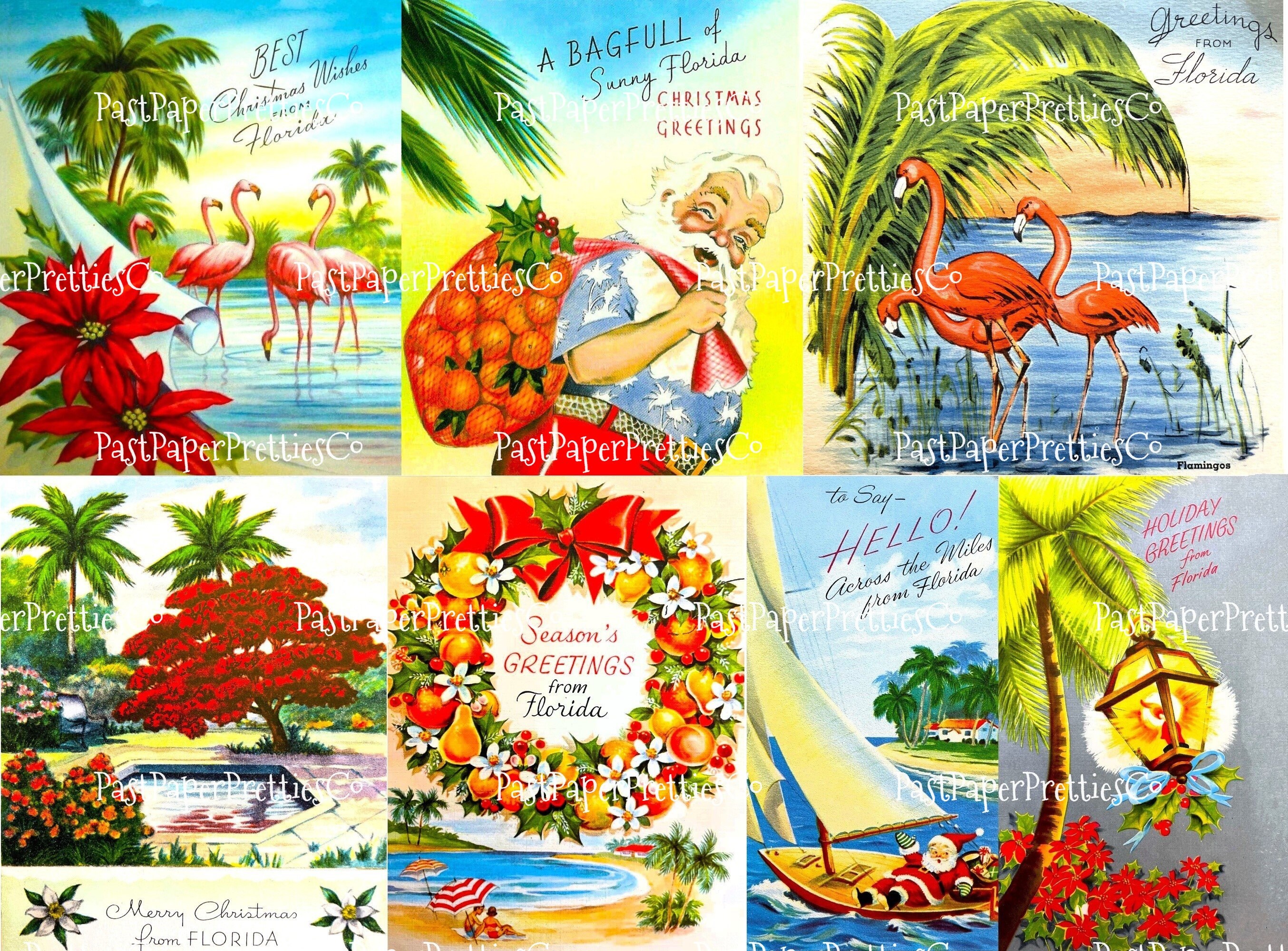 Vintage Printable Florida Christmas Card Images Tropical Holiday Santa ...