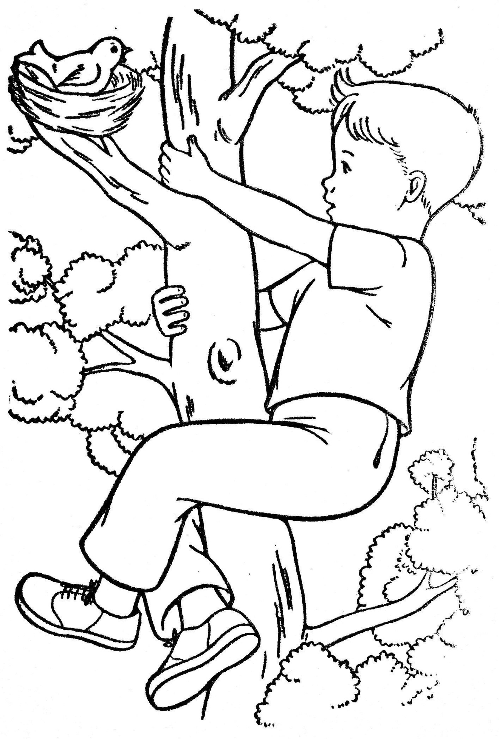 Vintage Printable Coloring Book Pages Springtime 1944 PDF - Etsy