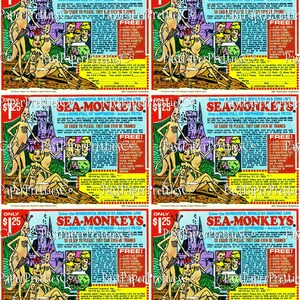 Vintage Printable Retro Sea Monkeys Ad 1971 Original Advertisement PDF ...