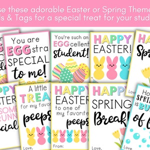 Editable Easter Cards for Students From Teacher, Easter Gift Tags ...