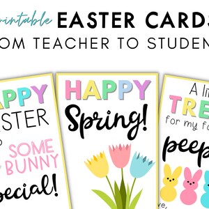 Editable Easter Cards for Students From Teacher, Easter Gift Tags ...