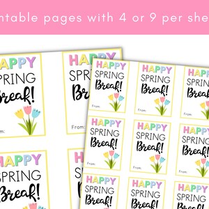 Editable Easter Cards for Students From Teacher, Easter Gift Tags ...