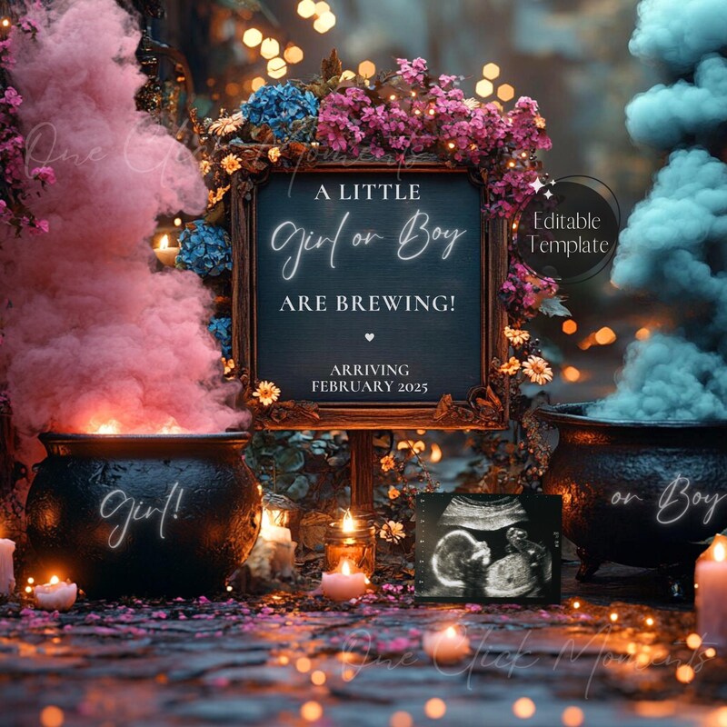 Tnt Gender Reveal - Etsy