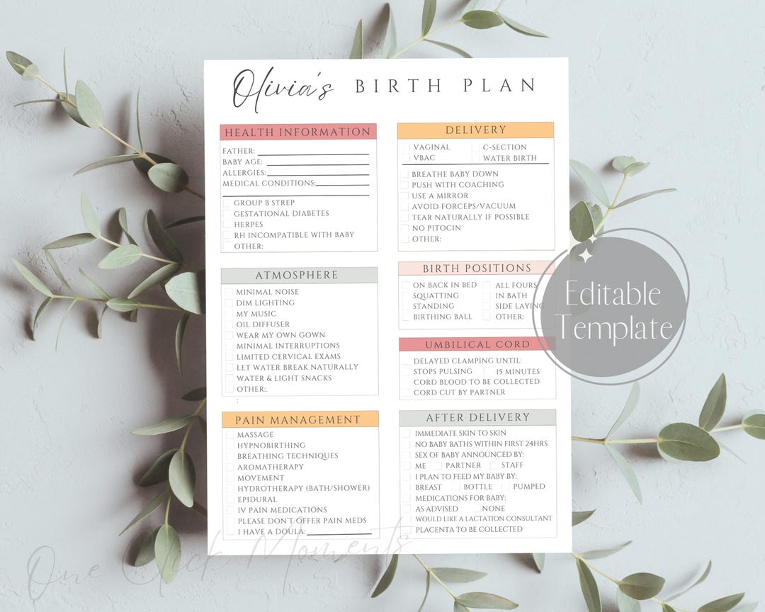 Birth Plan Template, Editable Birth Preferences Checklist, Birthing ...