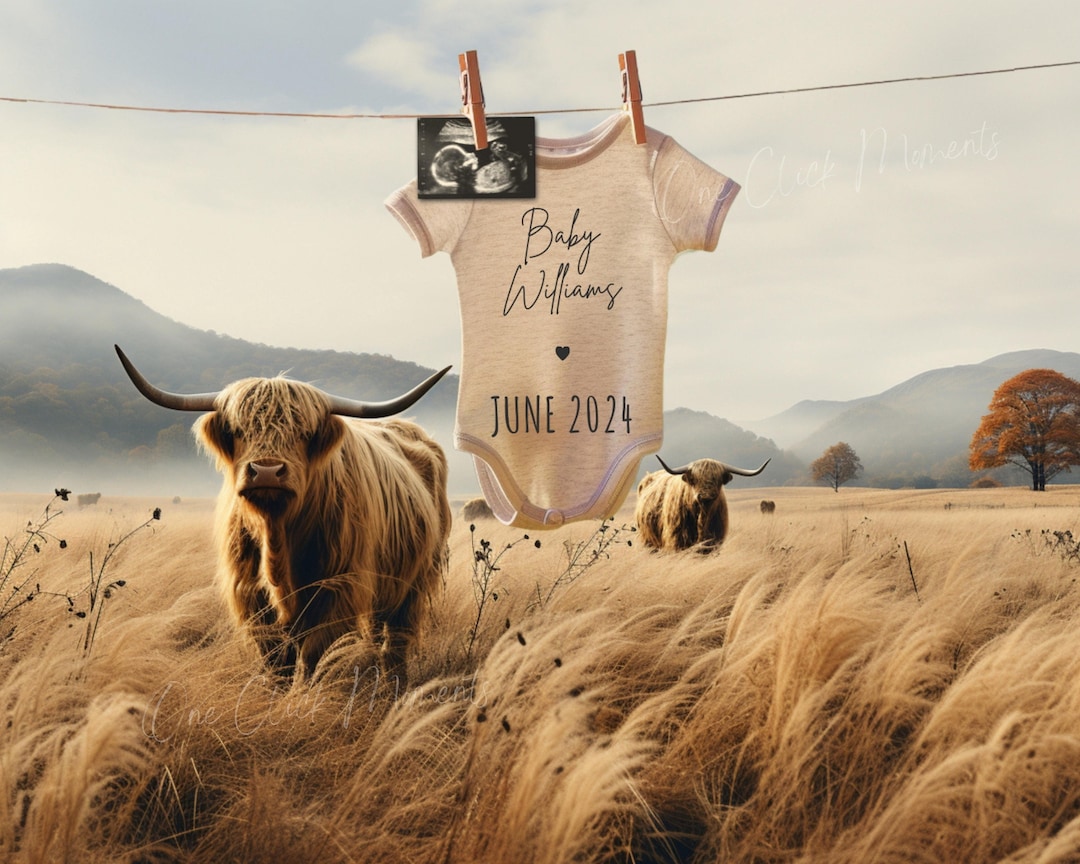 Highland Cow Pregnancy Announcement, Farm Life Baby Announcement ...