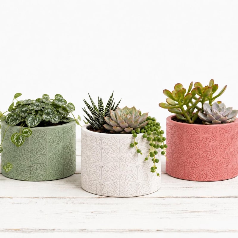 Textures Concrete Planter - Etsy