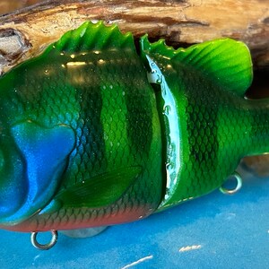 5” Bluegill Brushtail Glide Bait - Etsy