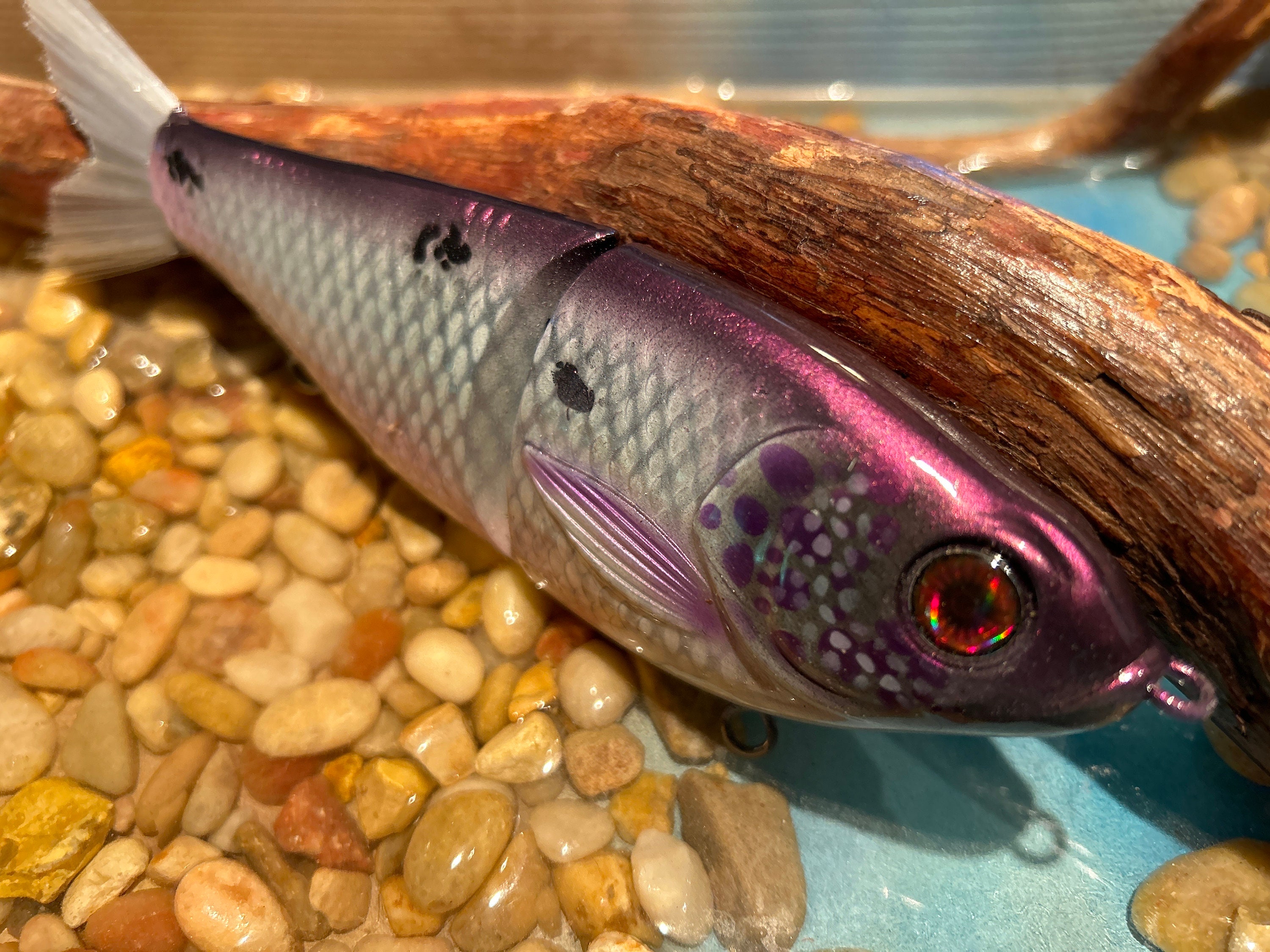 7” Big Belly Shad - Etsy