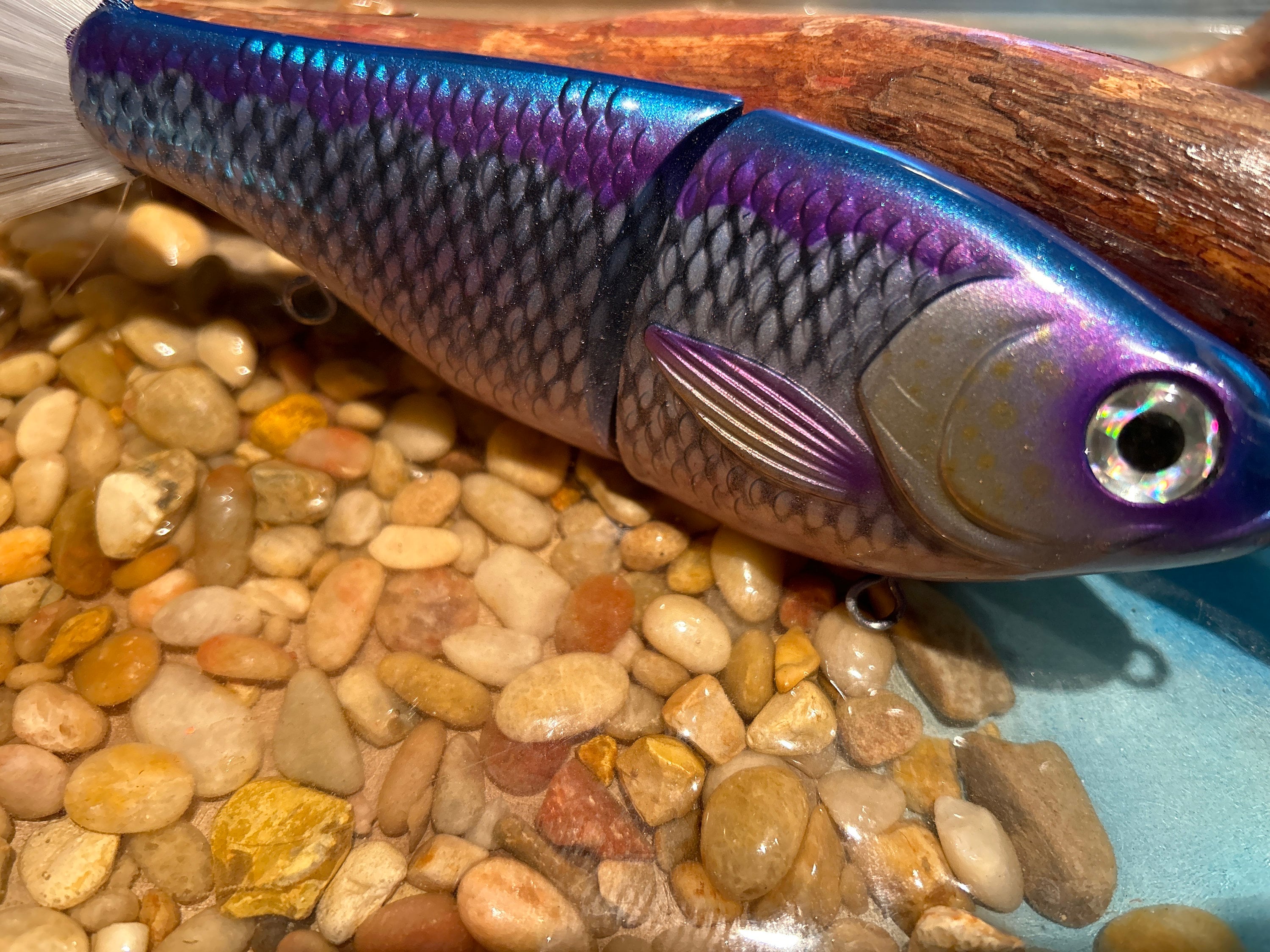 7” Big Belly Shad - Etsy