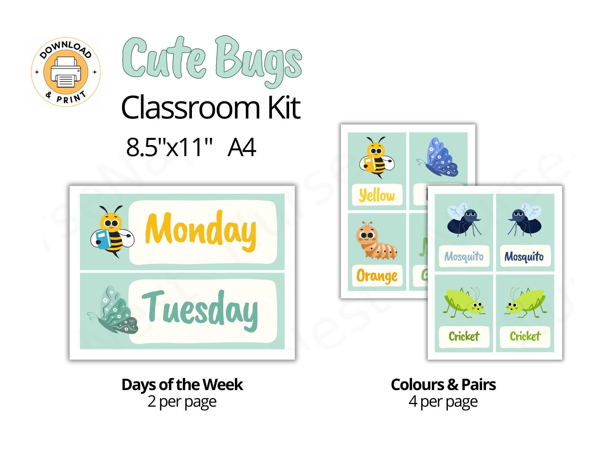 Printable Classroom Decor Cute Bugs Days of the Week, Colours, Partner ...