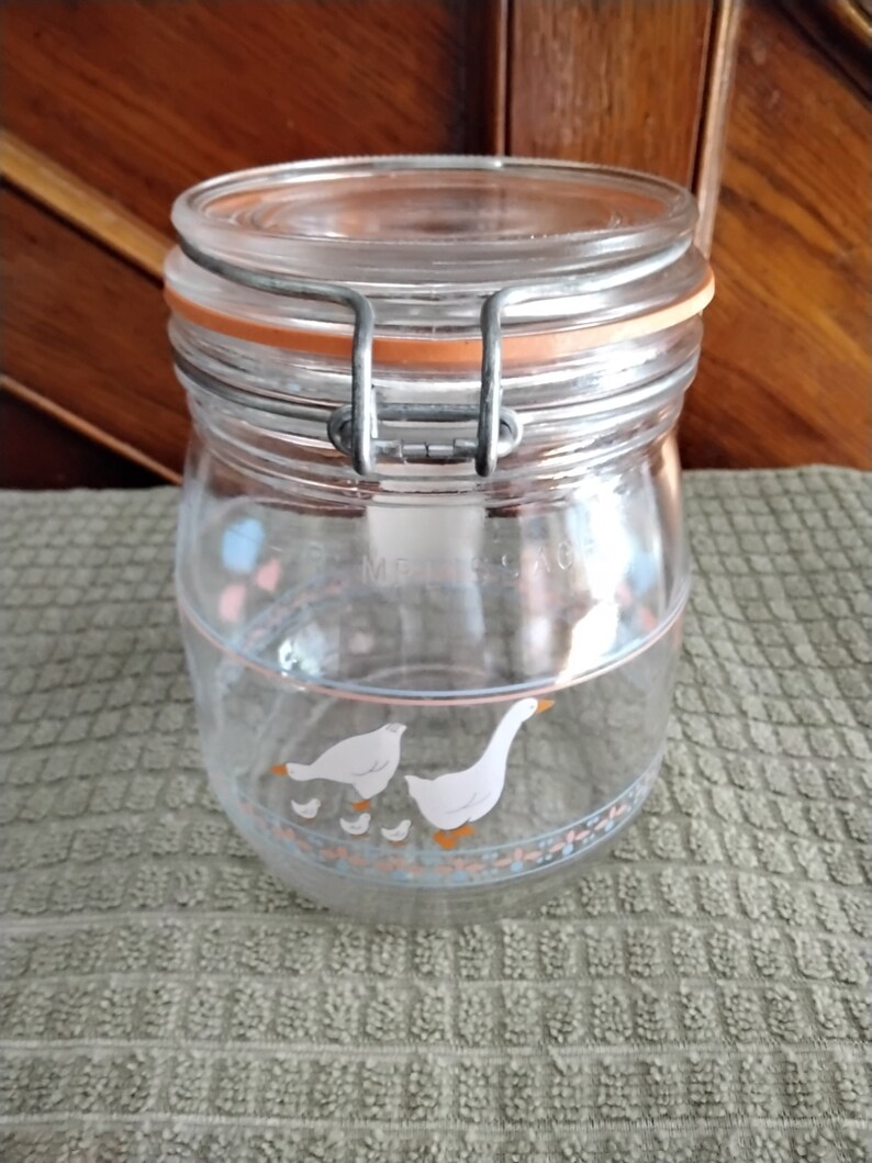 Arc France Hinged Bale-wire Jar/canister With Lid and White - Etsy