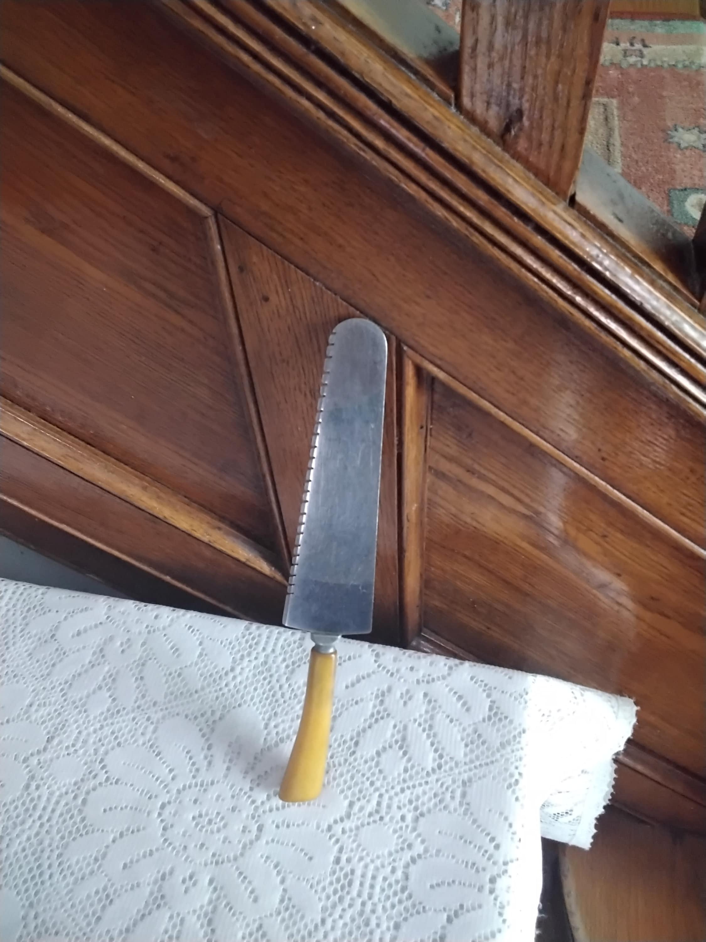 Vintage Serrated Cake Knife/server With Bakelite Butterscotch - Etsy