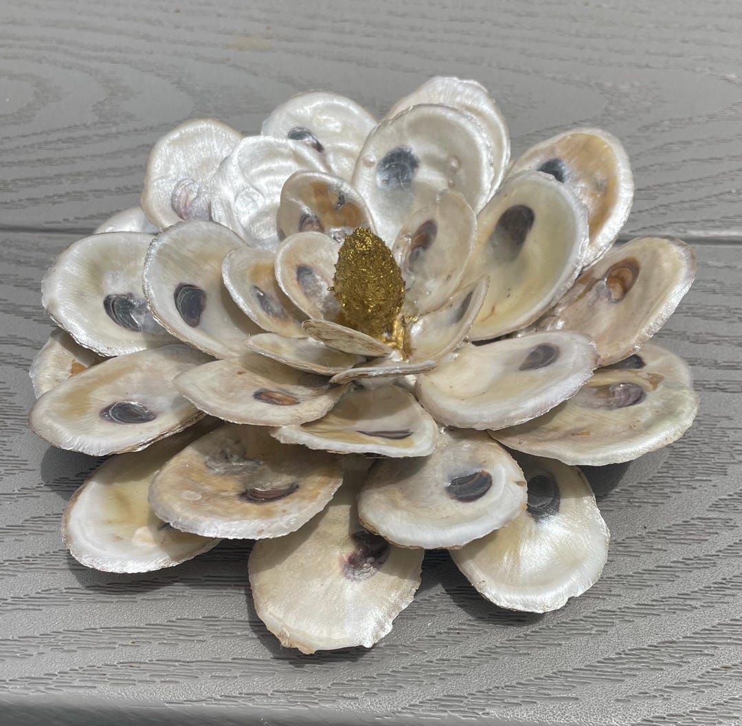 Handmade Oyster Shell Magnolia Blossom, Mother of Pearl Glaze, Gold ...