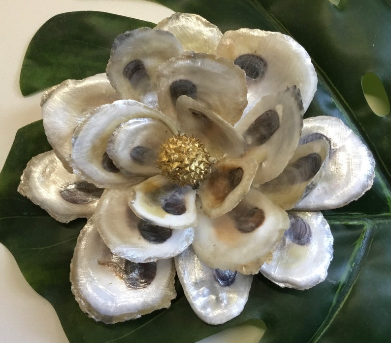 Oyster Shell Magnolia Blossoms - Etsy