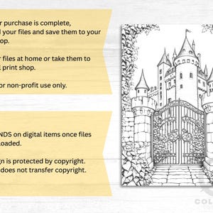 Whimsical Fairy Tale Castles: 50 Coloring Pages for Kids and Adults ...