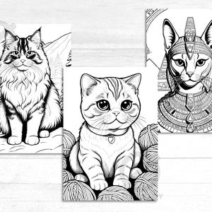 Pawsitively Purrfect: 110 Adorable Cat Coloring Pages - Printable PDF ...