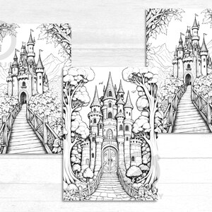 Whimsical Fairy Tale Castles: 50 Coloring Pages for Kids and Adults ...