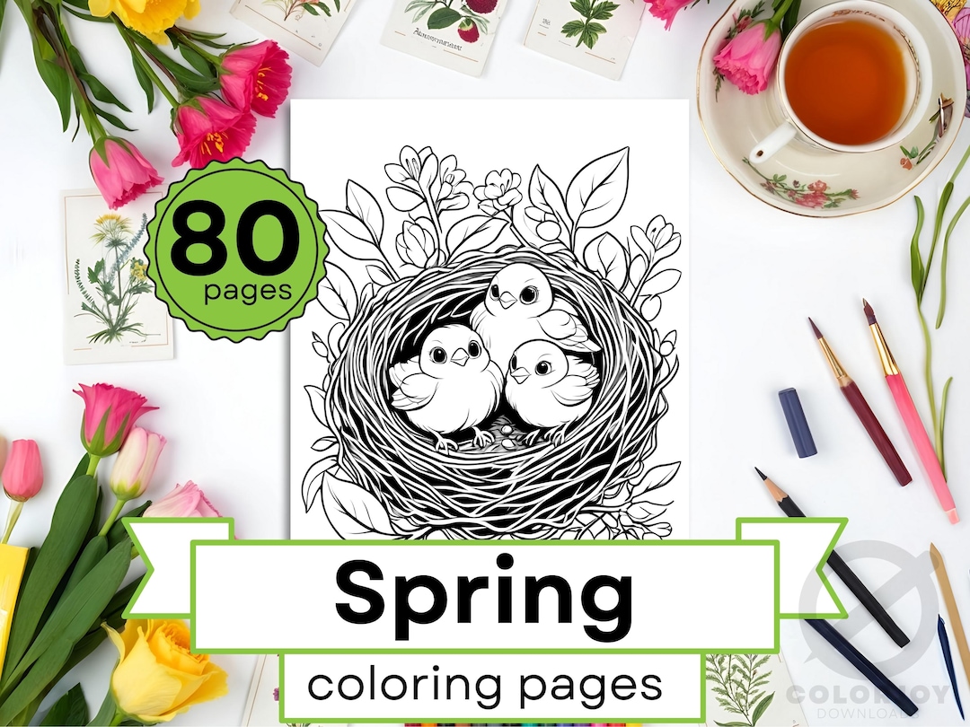 Springtime Coloring Fun: 80 Pages for Adults and Kids - Instant ...