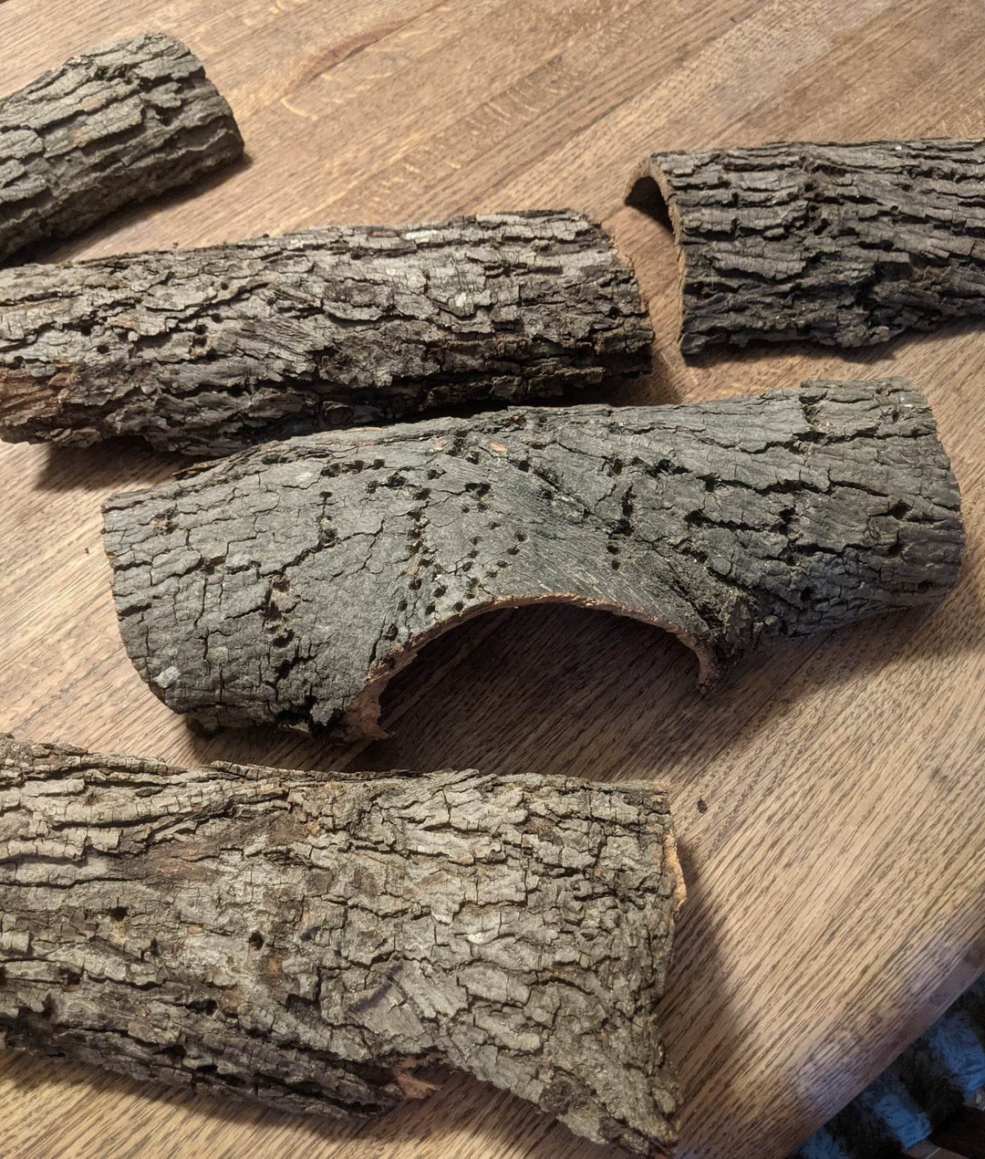 Genuine Wood Small Animal/reptile/amphibian Hides - Etsy