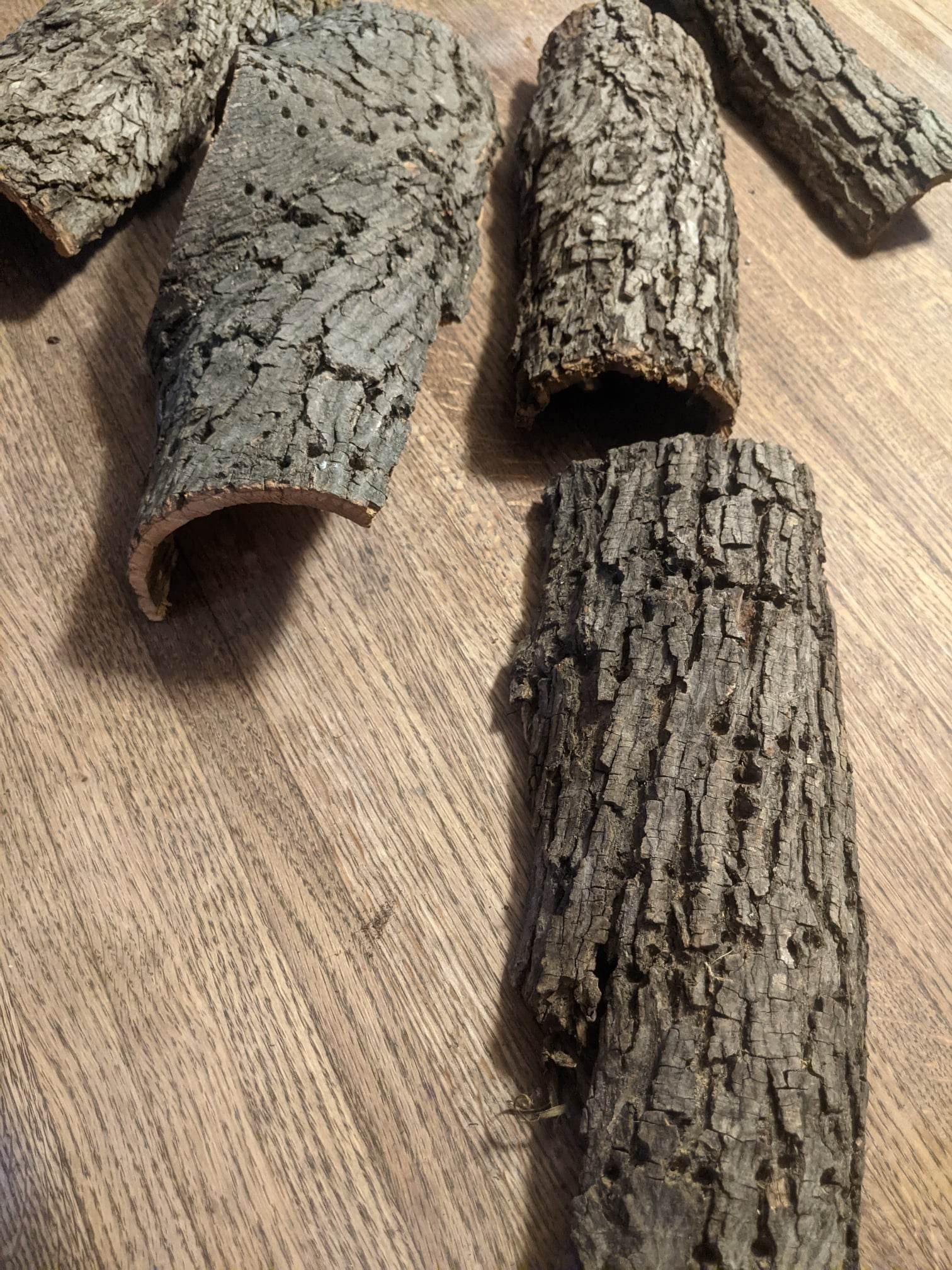 Genuine Wood Small Animal/reptile/amphibian Hides - Etsy