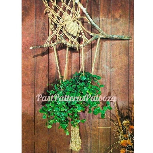 Spider Web Hanger - Etsy
