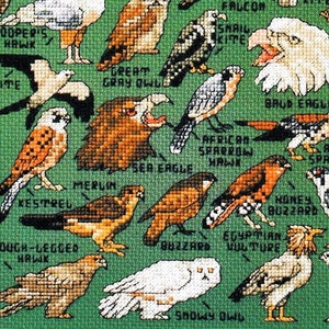Vintage Cross Stitch Patterns Mini Birds of Prey Motifs PDF Instant ...