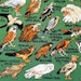 Vintage Cross Stitch Patterns Mini Birds of Prey Motifs PDF Instant ...
