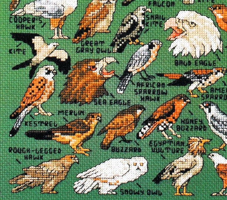 Vintage Cross Stitch Patterns Mini Birds of Prey Motifs PDF Instant ...