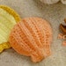 Vintage Crochet Sea Shell Seashells Patterns PDF Instant Digital ...