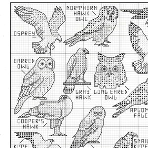 Vintage Cross Stitch Patterns Mini Birds of Prey Motifs PDF Instant ...