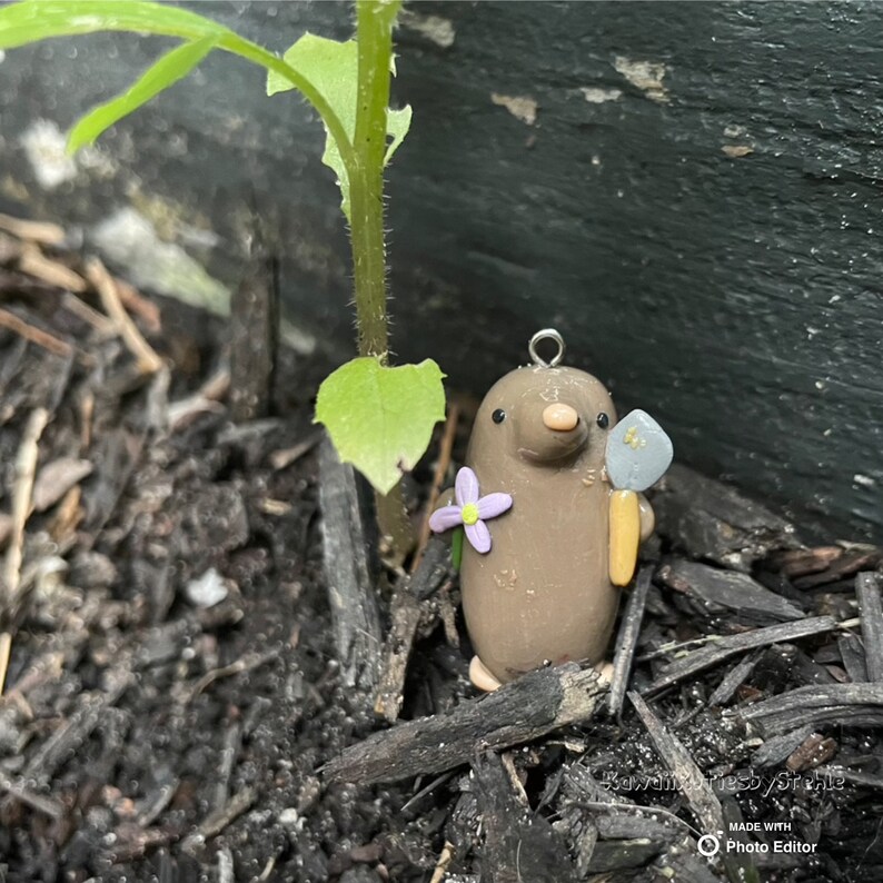 Garden Mole Polymer Clay Kawaii Charm Cute Keychain Accessory - Etsy