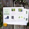 Colors in Nature- Discovery Cards/ Scavenger Hunt, Nature Walk, Kids ...