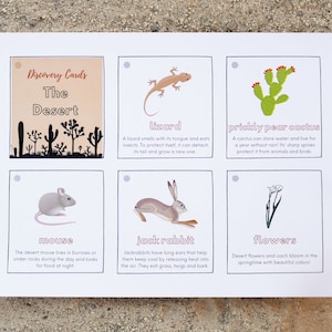 The Desert - Discovery Cards/ A Scavenger Hunt Activity for Kids to Use ...