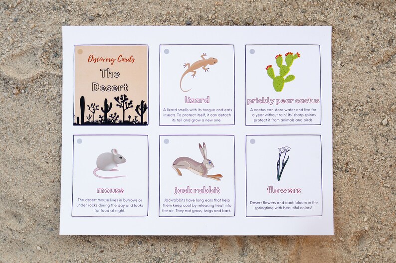The Desert Discovery Cards/ A Scavenger Hunt Activity for Kids to Use ...