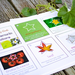 Patterns in Nature- Discovery Cards/ Scavenger Hunt Outside Search and ...
