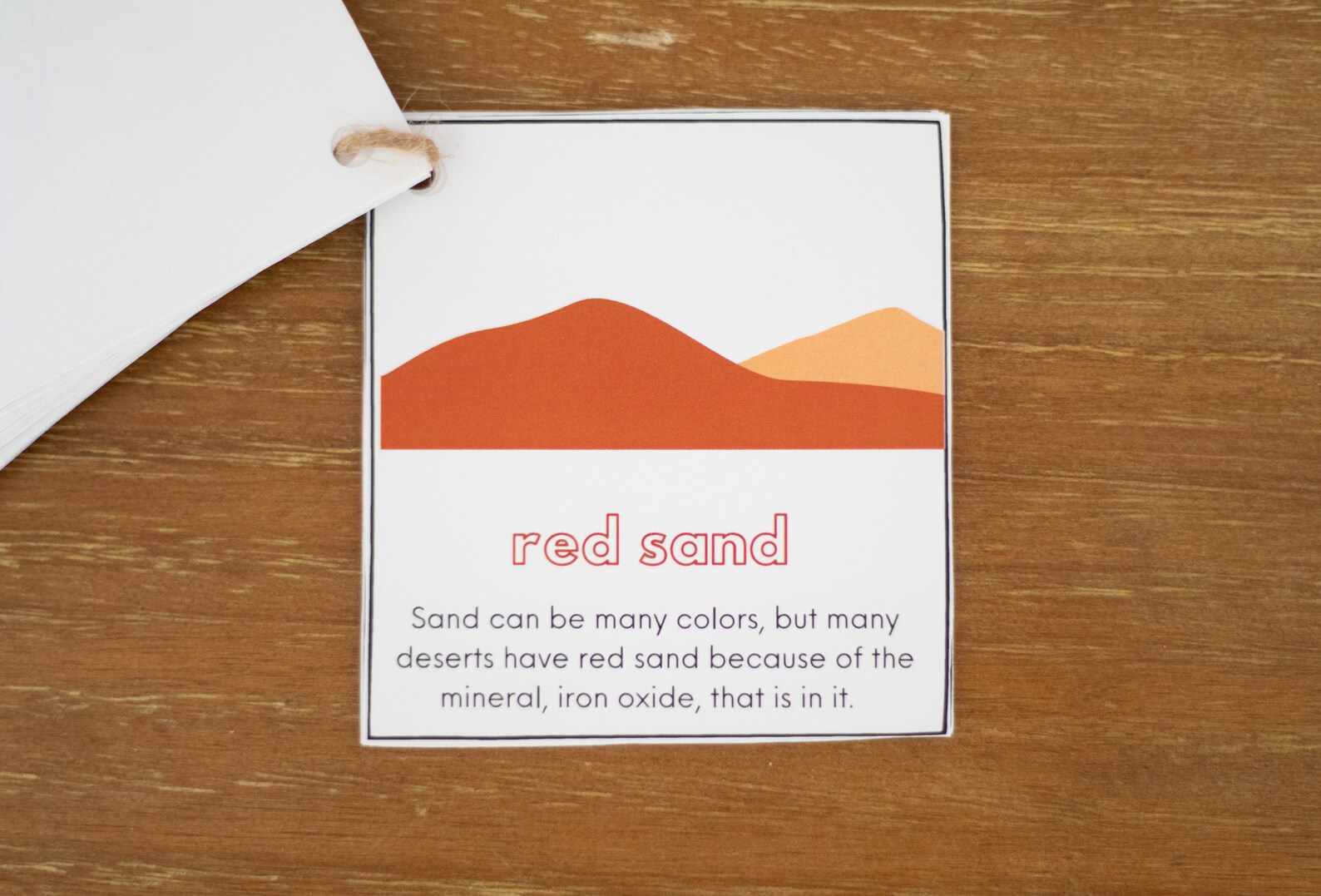 The Desert Discovery Cards/ A Scavenger Hunt Activity for - Etsy