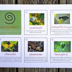 Patterns in Nature Discovery Cards/ Scavenger Hunt Outside - Etsy