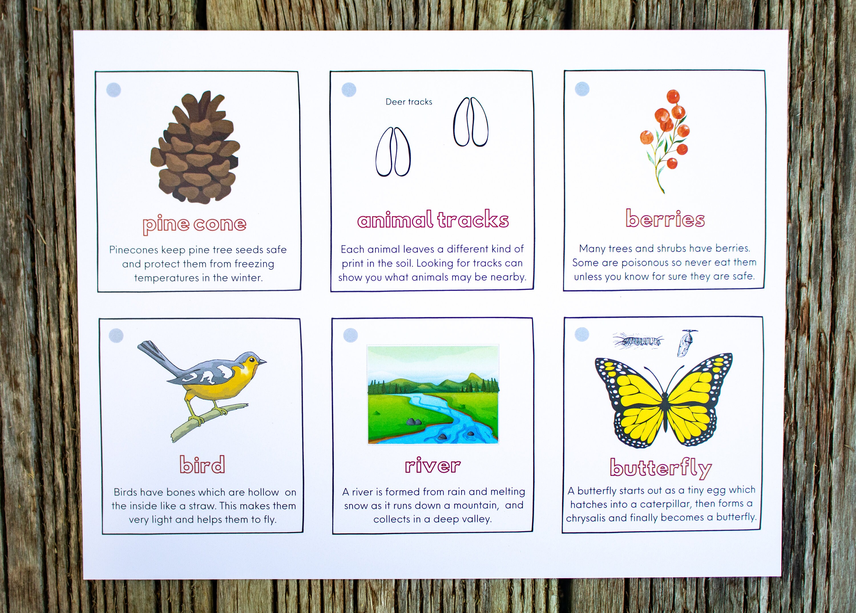 The Mountains- Discovery Cards/ A Scavenger Hunt Challenge for Kids to ...