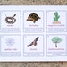 The Desert Discovery Cards/ A Scavenger Hunt Activity for - Etsy