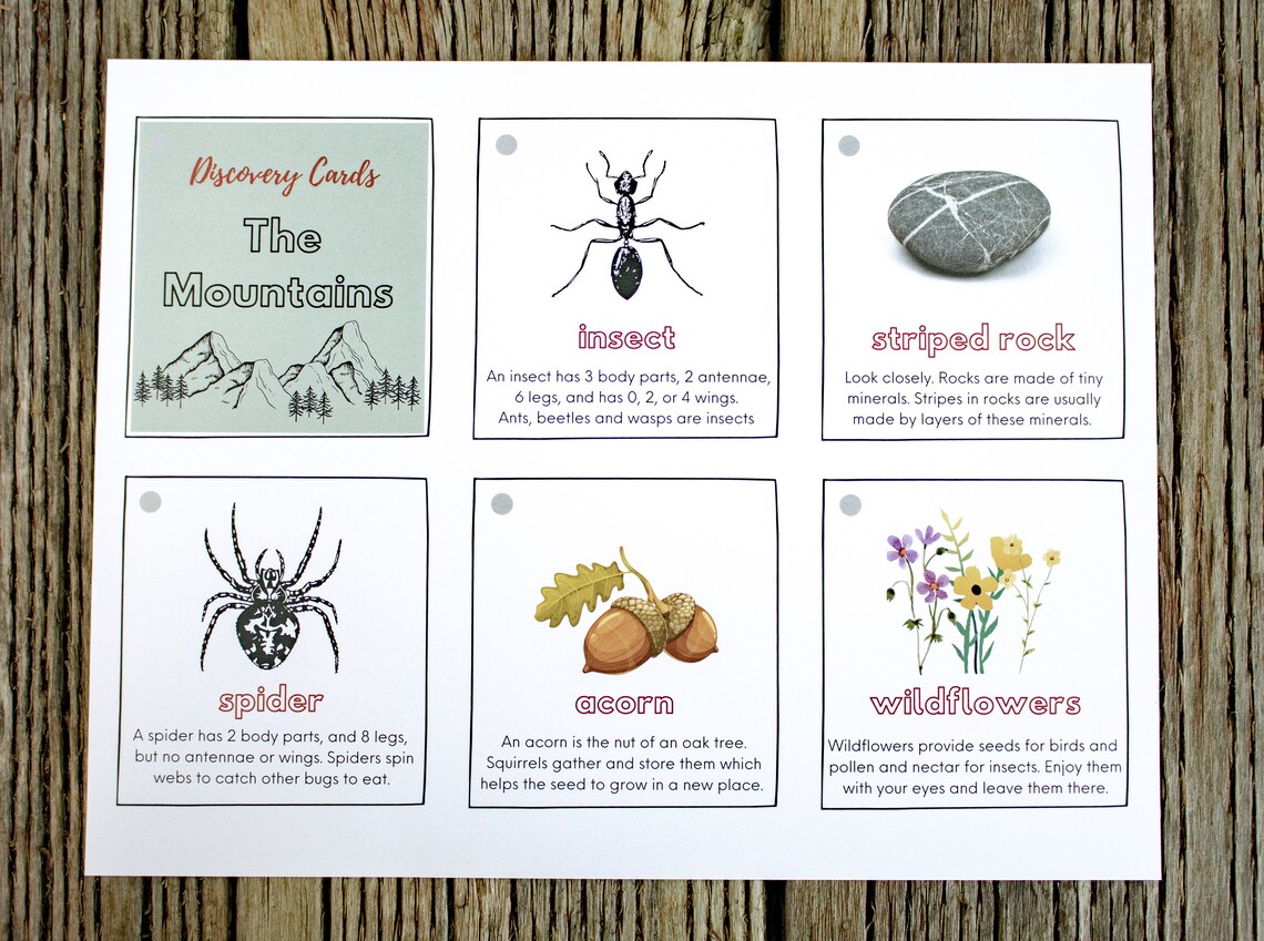The Mountains- Discovery Cards/ A Scavenger Hunt Challenge for Kids to ...