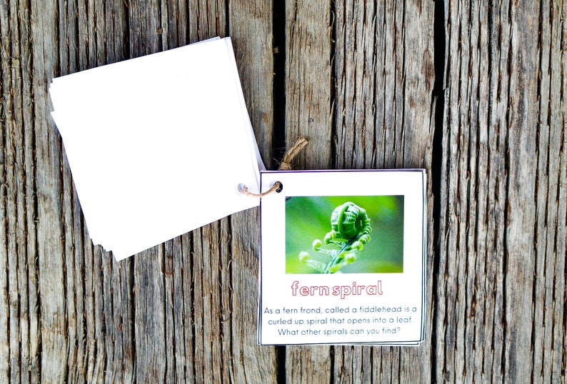 Patterns in Nature Discovery Cards/ Scavenger Hunt Outside - Etsy