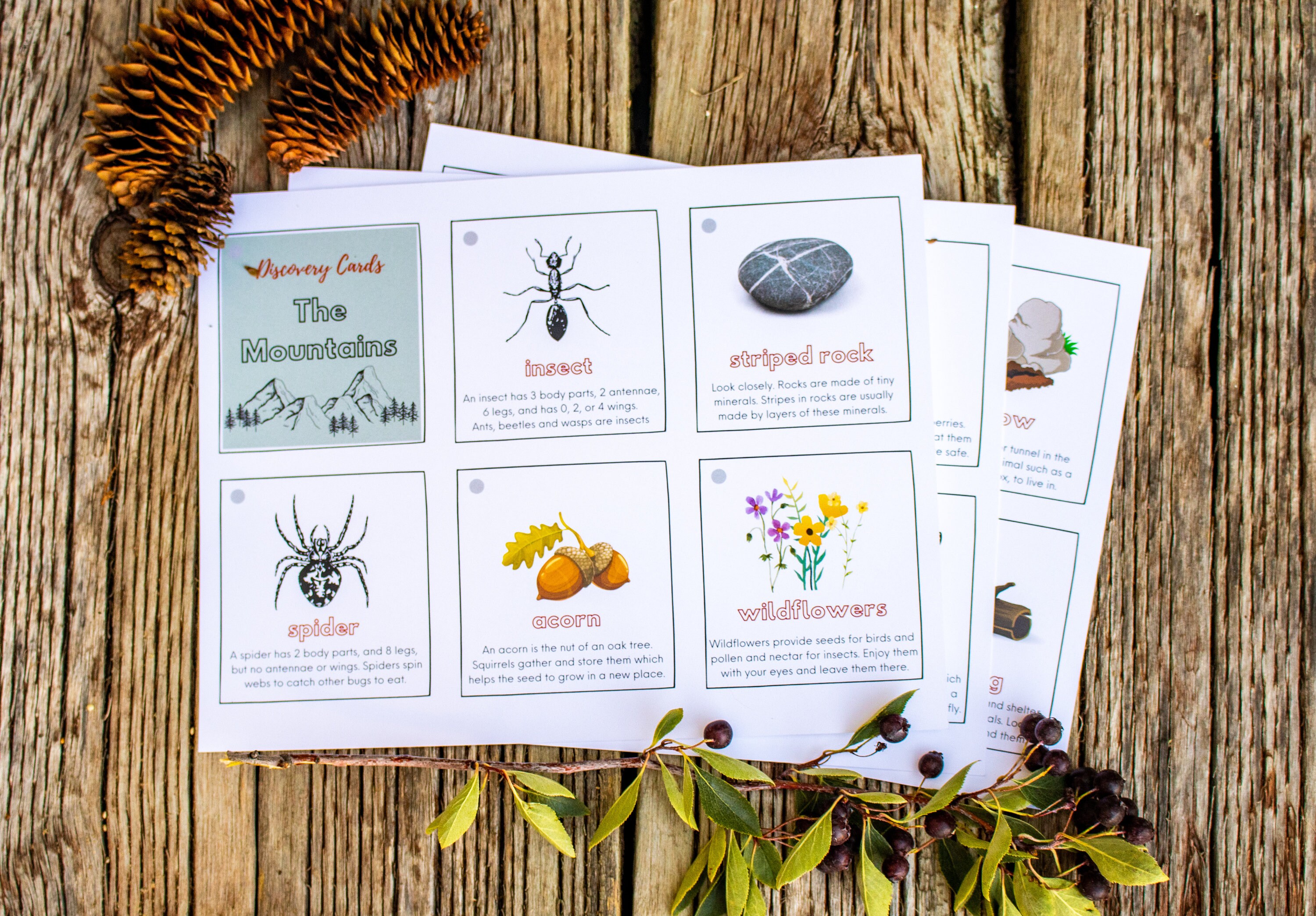 The Mountains- Discovery Cards/ A Scavenger Hunt Challenge for Kids to ...